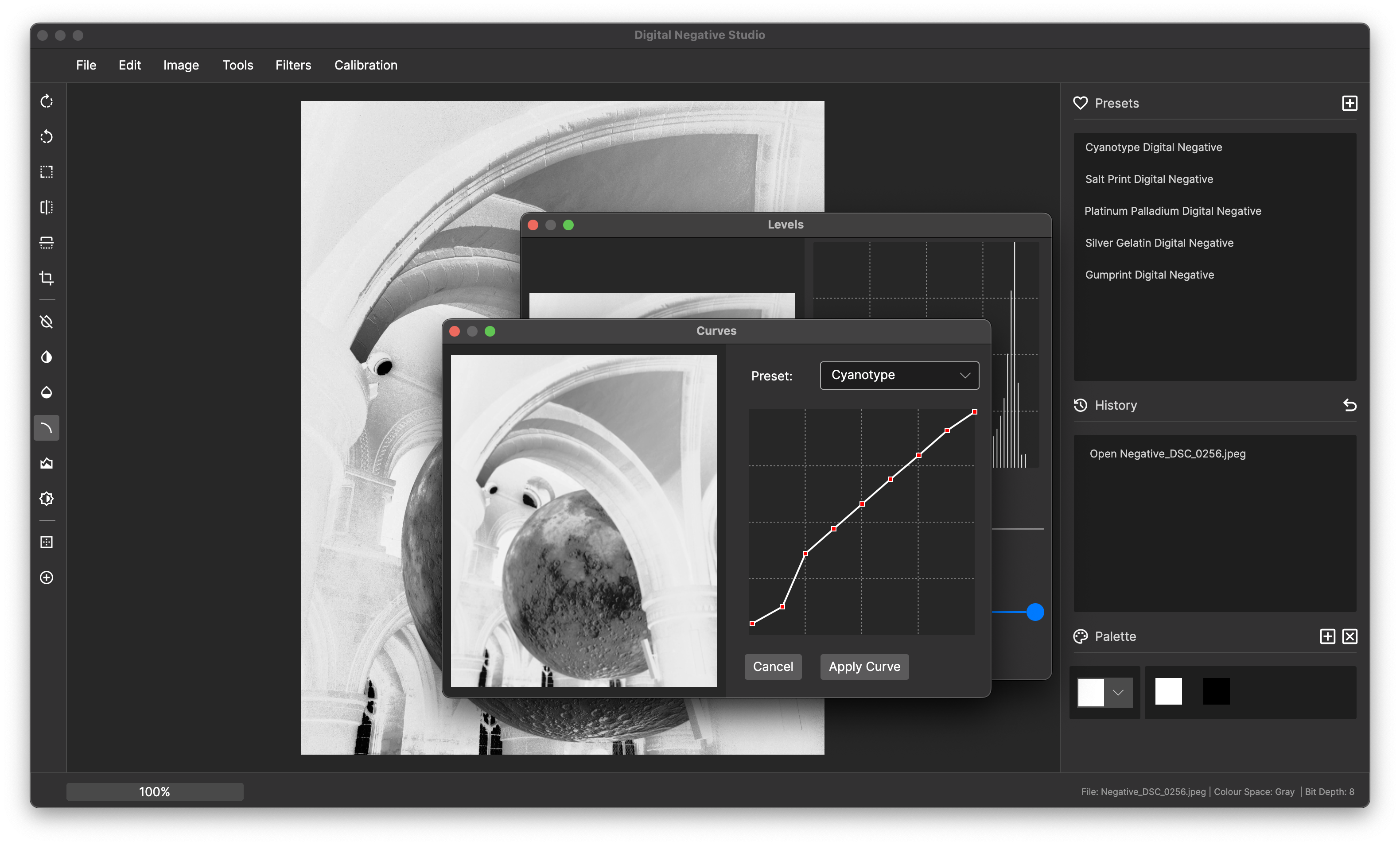 Digital Negative Studio - Alt process focused image editor